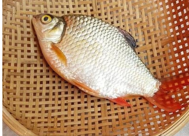 3 công thức cá he kho lạt thơm ngon, chuẩn vị miền Tây