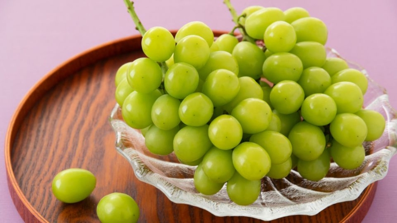 TOP 8 các loại nho ngon và phổ biến nhất mà bạn nên thử