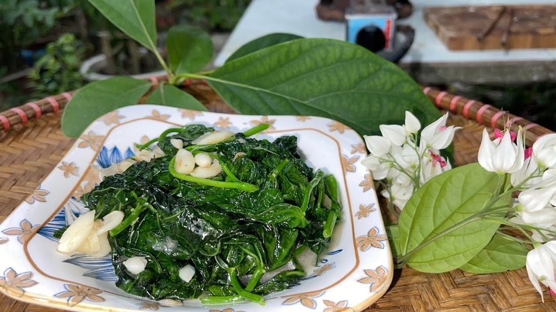 Tổng hợp các cách chế biến rau bina chaya ngon và bổ dưỡng nhất