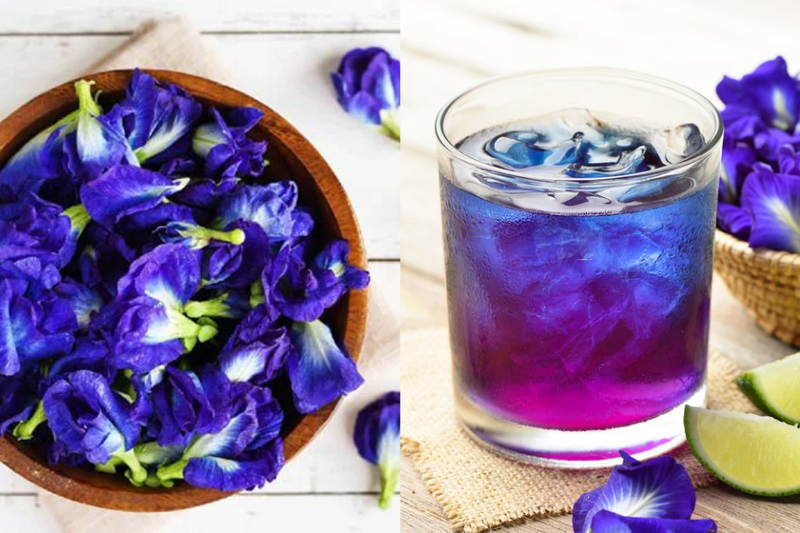 Bật mí cách pha trà chanh hoa đậu biếc thơm ngon, đẹp mắt