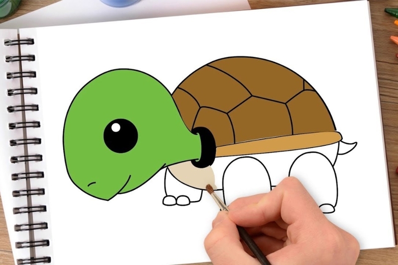 Cách vẽ con rùa cute đơn giản chỉ với vài bước cơ bản bạn có thể thử ngay!