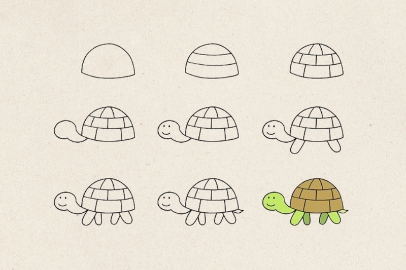 Cách vẽ con rùa cute đơn giản chỉ với vài bước cơ bản bạn có thể thử ngay!