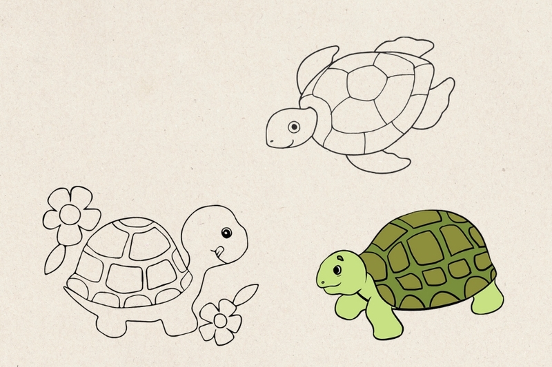 Cách vẽ con rùa cute đơn giản chỉ với vài bước cơ bản bạn có thể thử ngay!