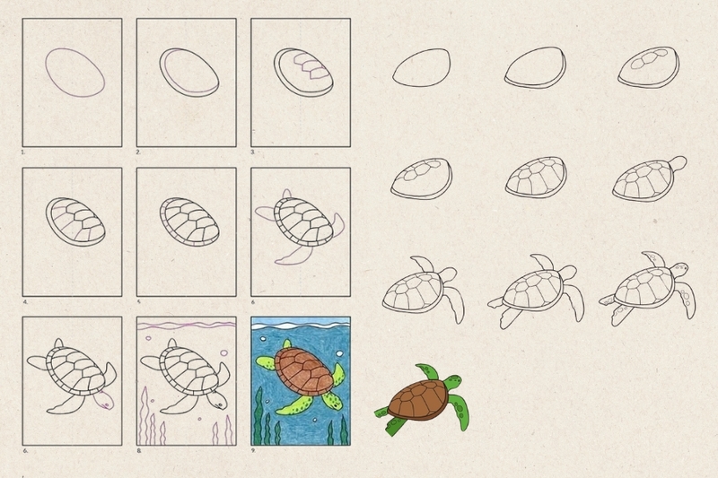 Cách vẽ con rùa cute đơn giản chỉ với vài bước cơ bản bạn có thể thử ngay!