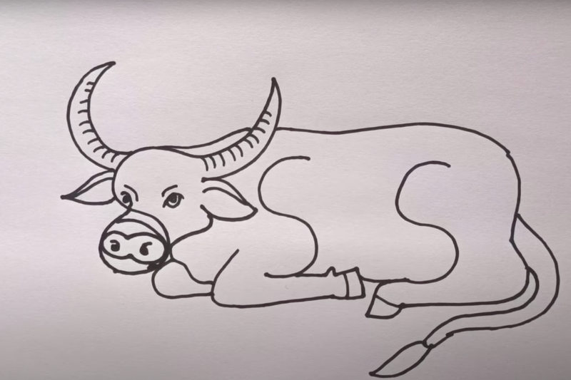 Bật mí cách vẽ con trâu độc đáo bắt đầu với 3 chữ S đầy ấn tượng