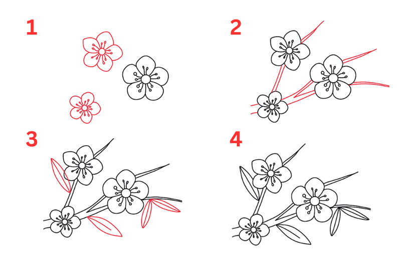 Cách vẽ hoa mai cực dễ dàng cho bất kỳ ai: Học từng bước đơn giản và ...
