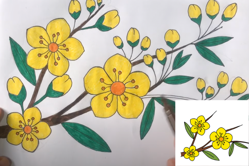 Cách vẽ hoa mai cực dễ dàng cho bất kỳ ai: Học từng bước đơn giản và ...