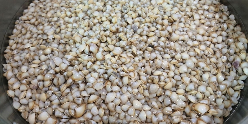 Cách làm canh don mồng tơi: Món ngon thanh mát cho mùa hè