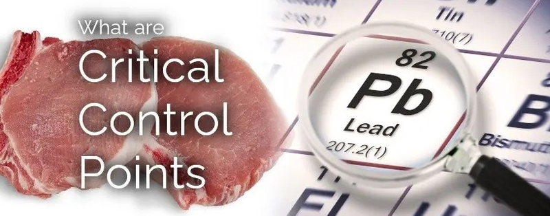 CCP là gì? Khái niệm, ví dụ và 4 nhóm cây quyết định CCP