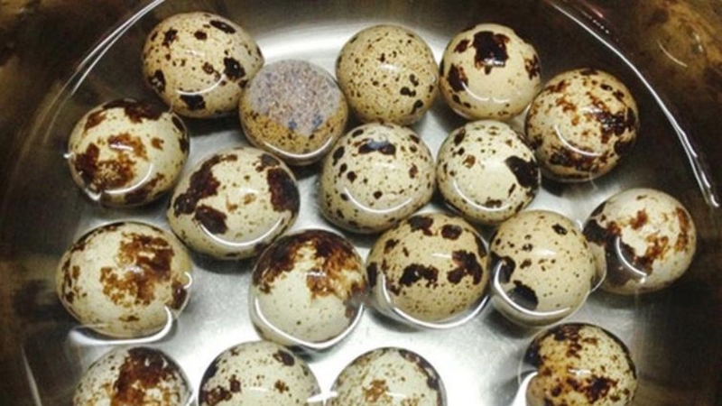 Cách làm cháo ốc móng tay thơm ngon, đậm đà, ai ăn cũng khen