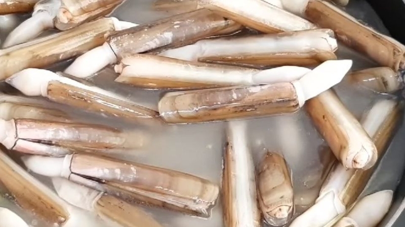 Cách làm cháo ốc móng tay thơm ngon, đậm đà, ai ăn cũng khen