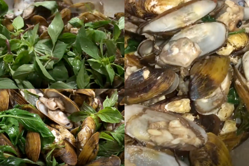 Chem chép là gì? Khám phá 2 món ngon từ loài hải sản dân dã này