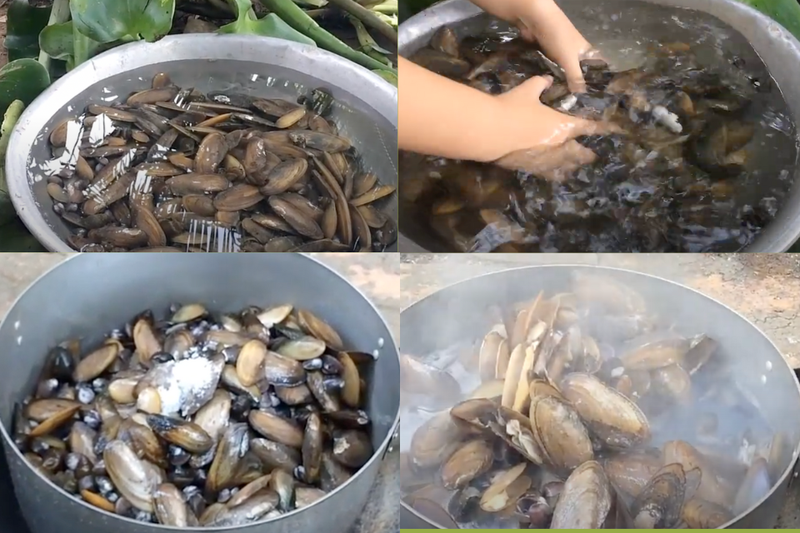 Chem chép là gì? Tổng hợp các món ngon từ chem chép