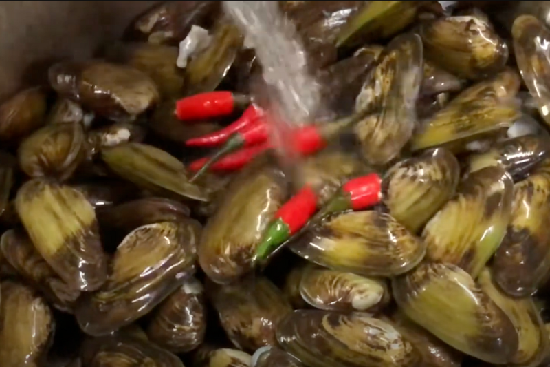 Chem chép là gì? Tổng hợp các món ngon từ chem chép