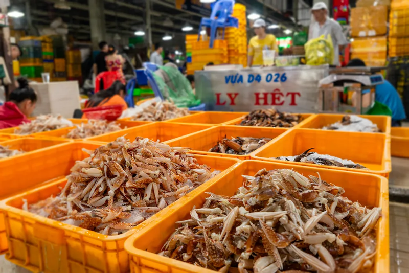 Chợ Bình Điền ở đâu? Khám phá khu chợ đầu mối lớn nhất tại Sài Gòn