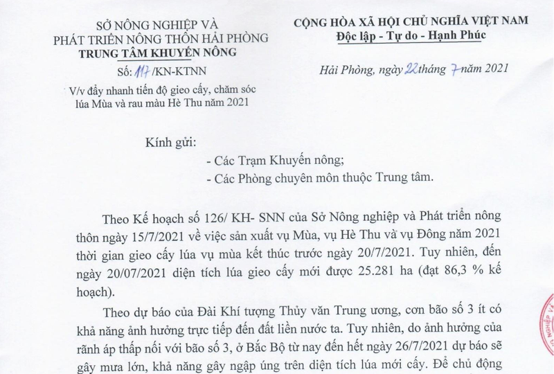 Công văn là gì và có mấy loại? Ai được ban hành công văn?