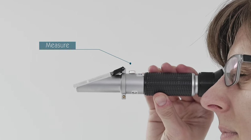 Độ Brix là gì? Chỉ số quan trọng quyết định độ ngọt trái cây