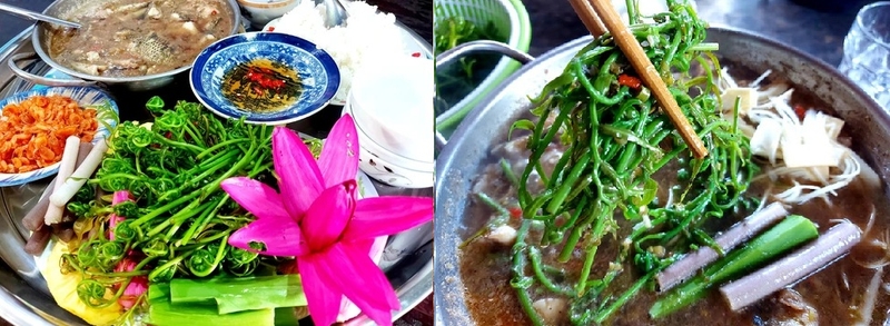 Rau đọt choại là loại rau gì? Những món ngon được chế biến từ rau