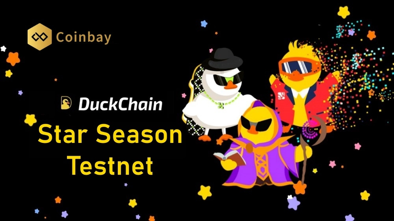 Tìm hiểu DuckChain là gì? Tính năng và vai trò của DuckChain