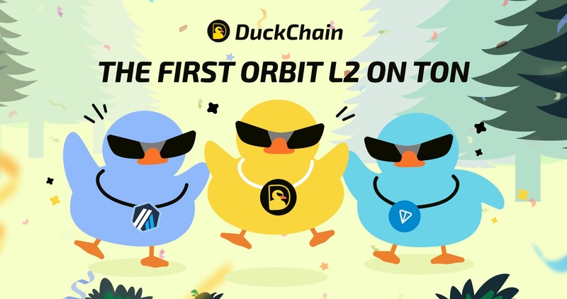Tìm hiểu DuckChain là gì? Tính năng và vai trò của DuckChain