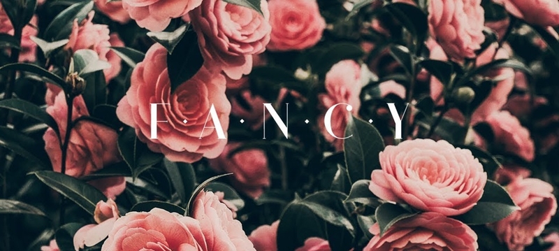 Fancy là gì? Giải mã sức hút bài hát Fancy của Twice, những điều có thể ...