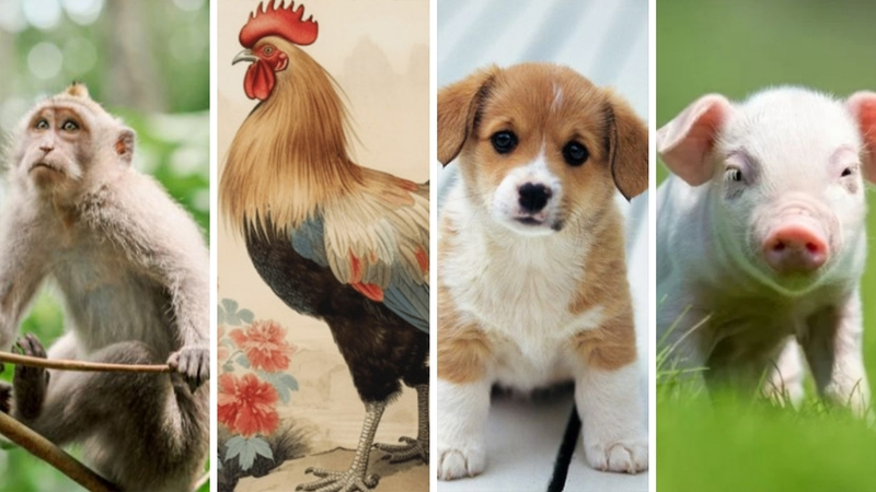 Giờ Ngọ là mấy giờ? Ý nghĩa vận mệnh những người sinh giờ Ngọ