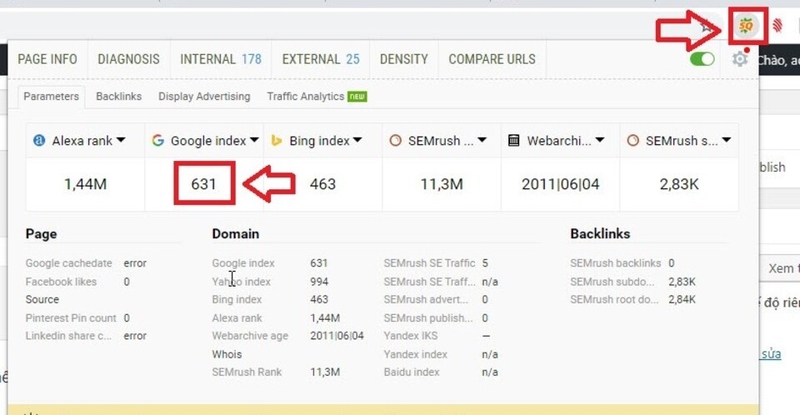 Tìm hiểu về Google index là gì? Mách bạn top 10 cách index nhanh URL website cực hay