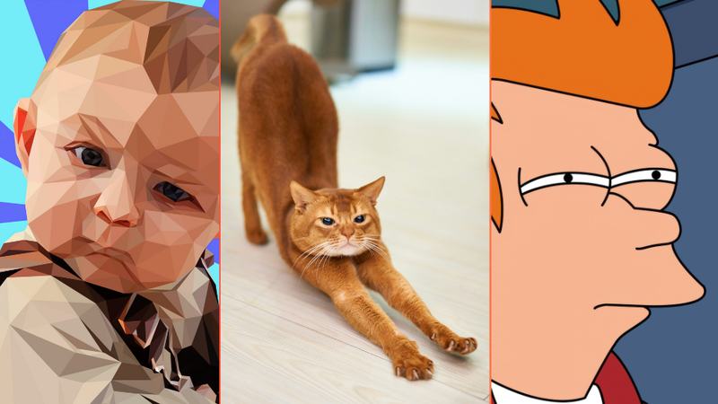 Tổng hợp hình nền meme cho “cuộc đời thêm vui tươi”