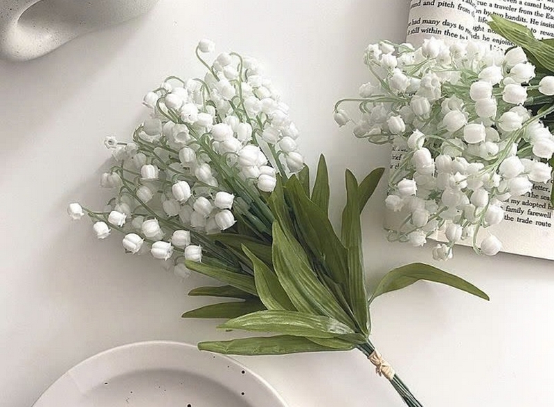 Tìm hiểu về hoa linh lan? Nguồn gốc, ý nghĩa và các loại hoa linh lan ...