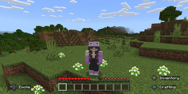 Khám phá thế giới hoa Minecraft: Bí quyết tìm và sử dụng hiệu quả