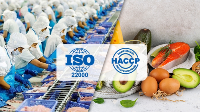 Giải đáp: ISO 22000 là gì? Tìm hiểu tiêu chuẩn an toàn thực phẩm