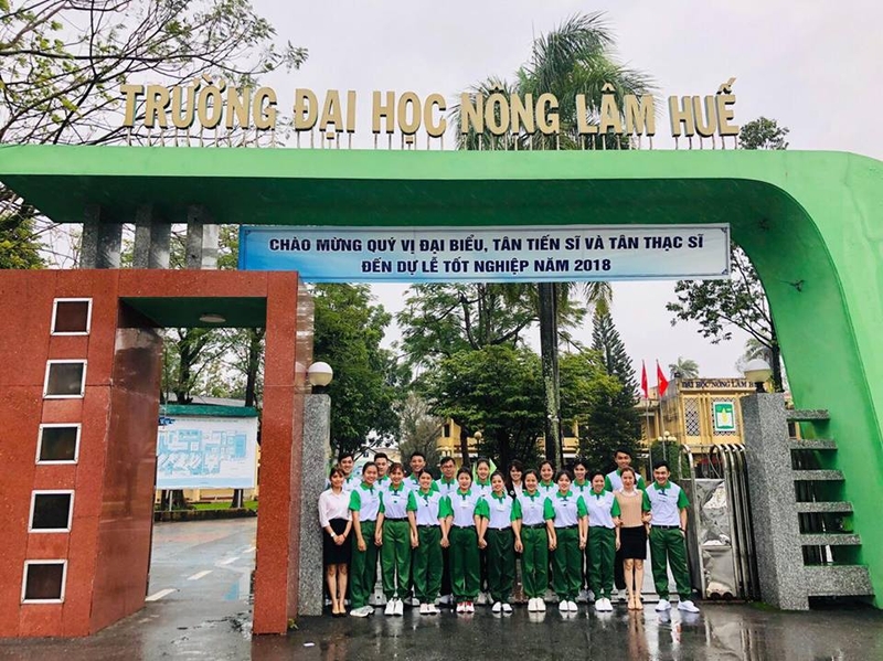 Khối D09 gồm những ngành nào? Trường nào? Khám phá các ngành học tiềm ...