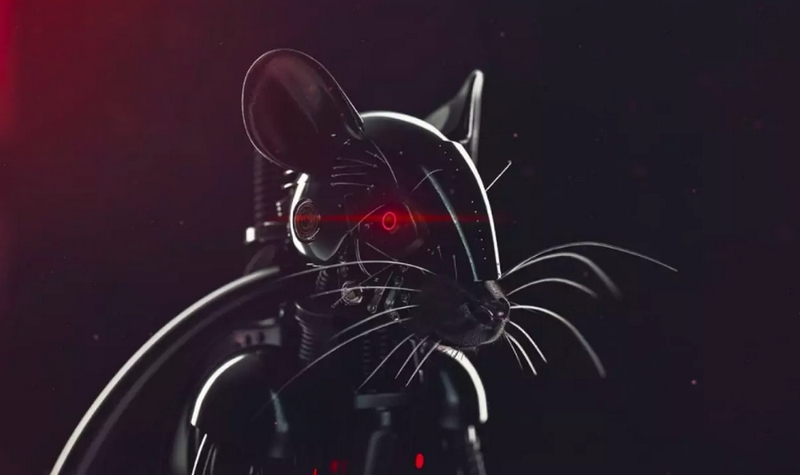 Malware RAT là gì? Cách hoạt động, mức độ nguy hiểm và giải pháp bảo vệ ...