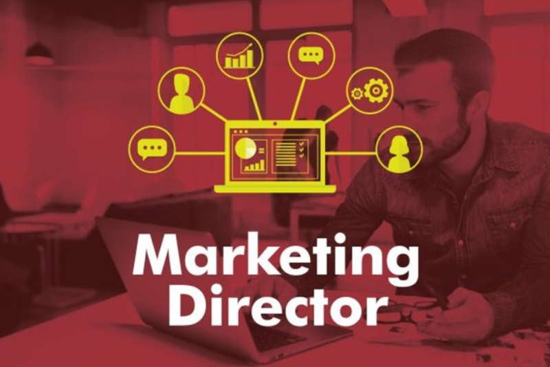 Marketing Director là gì? Giải mã vai trò và yêu cầu dành cho giám đốc ...