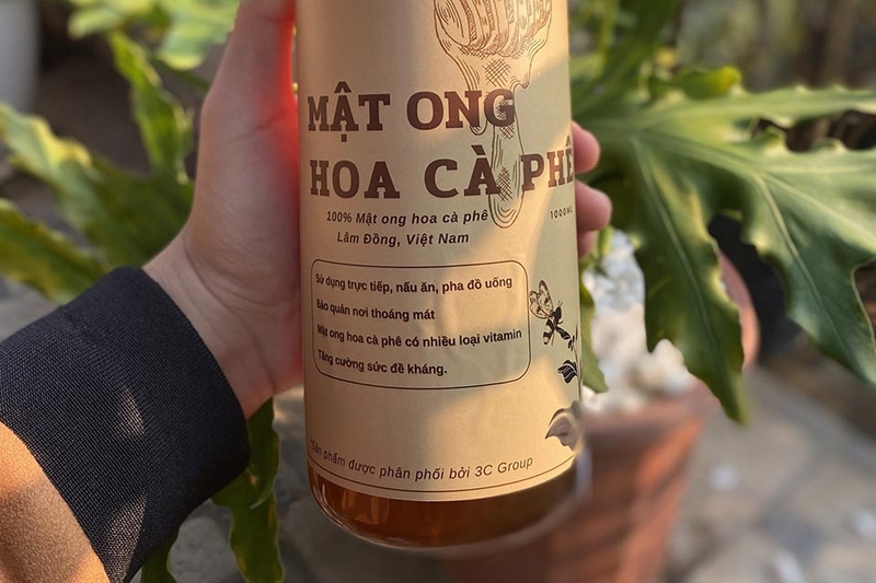 Mật ong hoa cà phê có tốt cho sức khỏe không? Những điều bạn cần biết