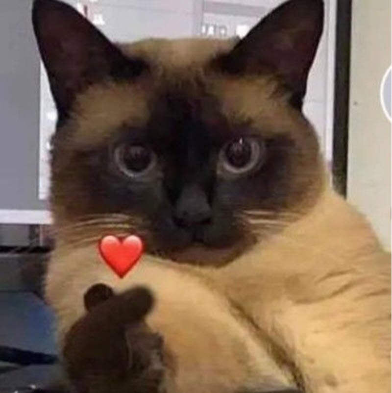 Ý nghĩa của meme bắn tim là gì? Cập nhật bộ meme thể hiện tình cảm siêu ...