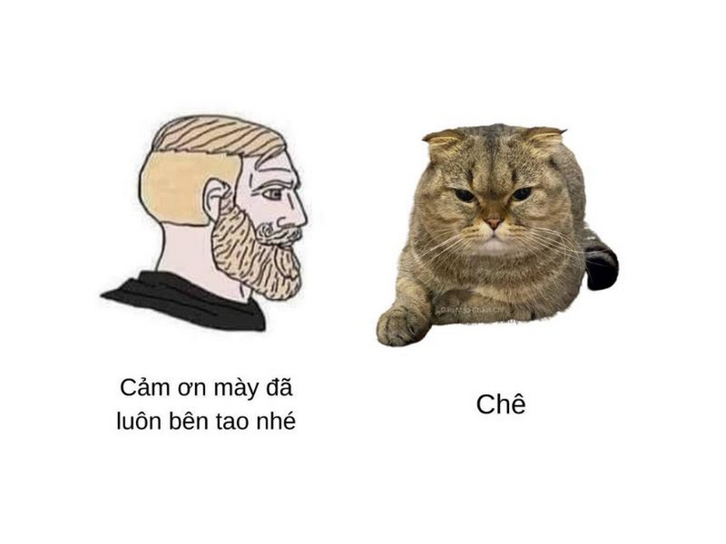 15+ ảnh meme chê cực thú vị dành cho những ai yêu thích thế giới meme ...