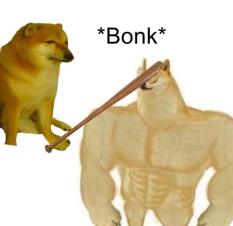 Bộ sưu tập meme chó đủ mọi thể loại siêu hài hước chắc chắn sẽ khiến ...
