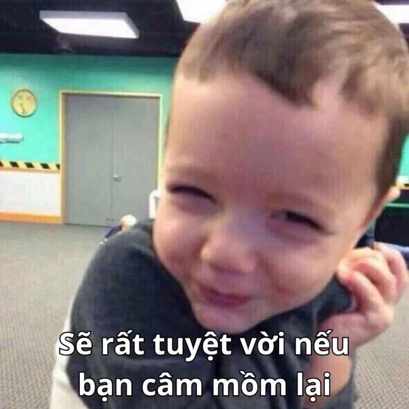 Bộ sưu tập meme chửi gây cười nhất mọi thời đại mà bạn không nên bỏ qua