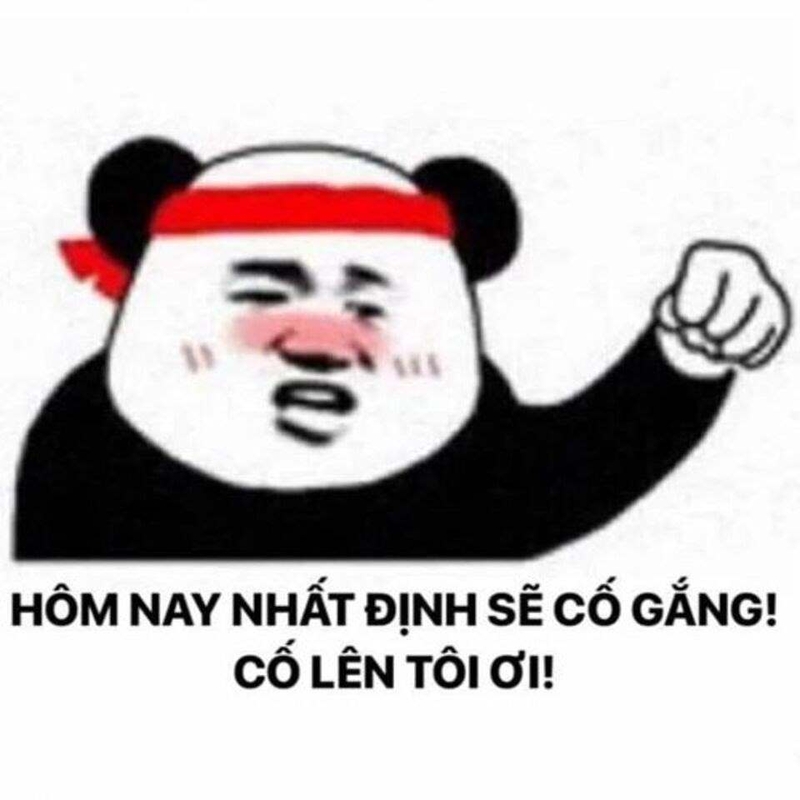 Meme cố lên - Khám phá những mẫu meme động viên siêu đáng yêu và thịnh hành