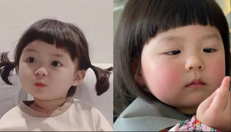 Phì cười với hàng loạt meme cute, ấn tượng thuộc nhiều chủ đề đang ...