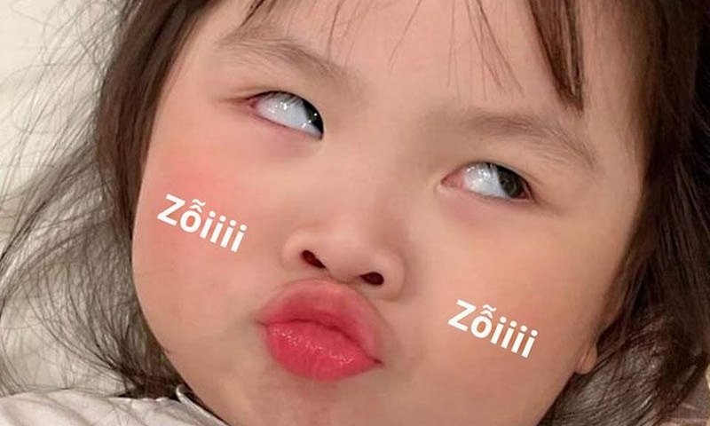 Phì cười với hàng loạt meme cute, ấn tượng thuộc nhiều chủ đề đang ...