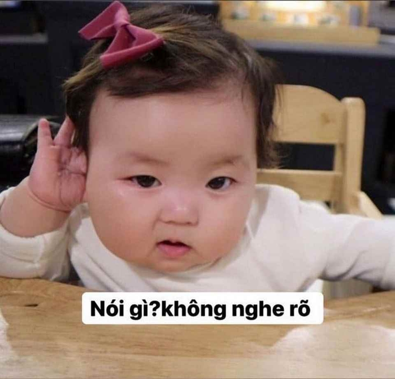 Phì cười với hàng loạt meme cute, ấn tượng thuộc nhiều chủ đề đang ...