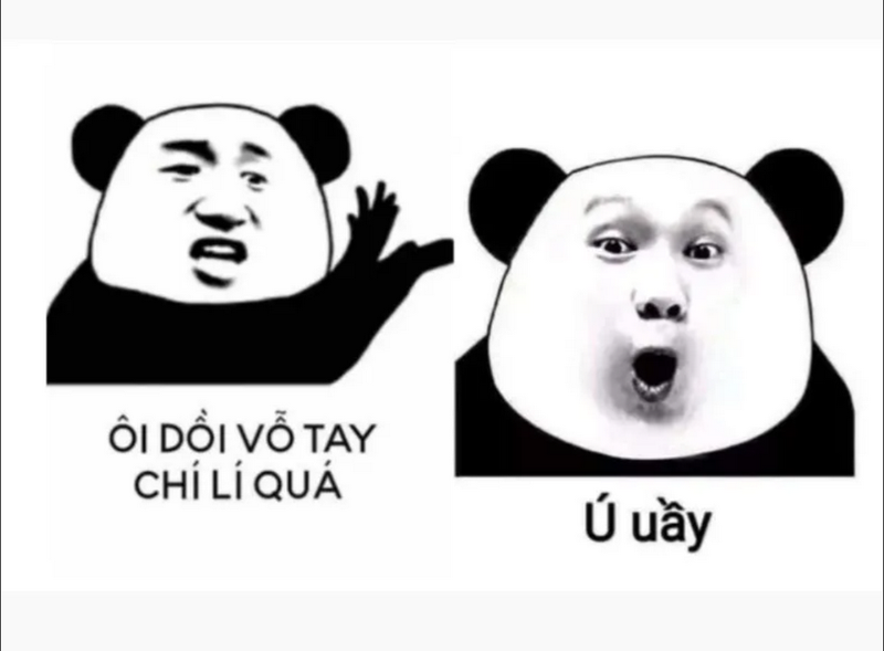 Cười xỉu với hàng loạt meme hài hước, đáng yêu để bạn thỏa thích trò ...