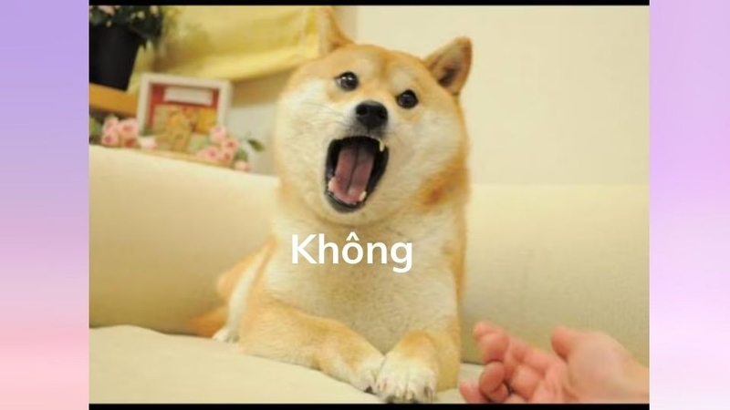 Những meme không siêu bựa, đáng yêu được nhiều người yêu thích