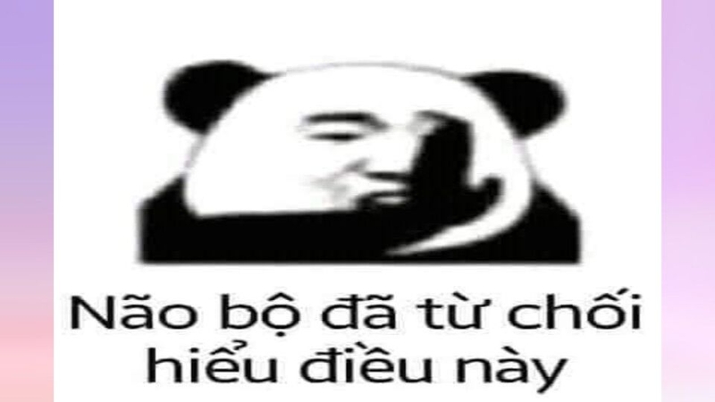 Những Meme Không Siêu Bựa đáng Yêu được Nhiều Người Yêu Thích