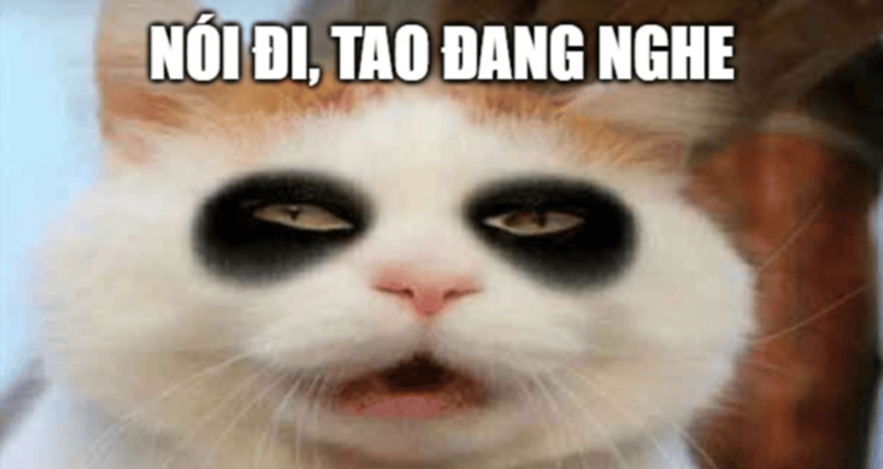 Tuyển tập meme mù hài hước, thú vị để bạn thoải mái nhắn tin vui đùa ...