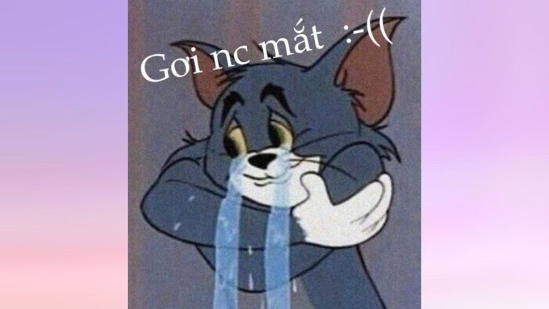 Khám phá các meme ôm hot nhất hiện nay được giới trẻ yêu thích