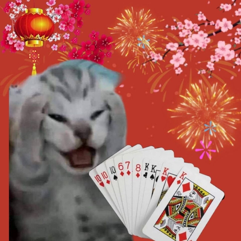 Tổng hợp những mẫu meme Tết thú vị và thịnh hành làm khuynh đảo cộng ...