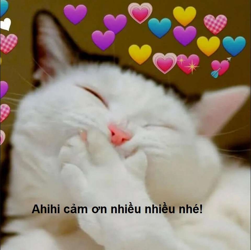 Tổng hợp những meme thank you thịnh hành để bạn tương tác trên mạng xã ...
